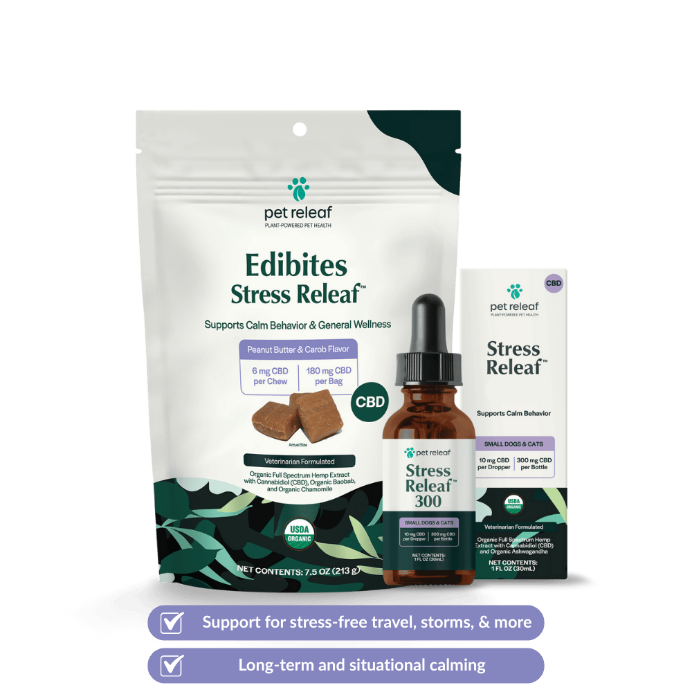 Calming Routine for Dogs - Pet Releaf